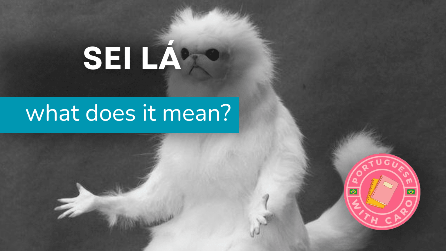 The Meaning of “Sei Lá” - Portuguese With Caro