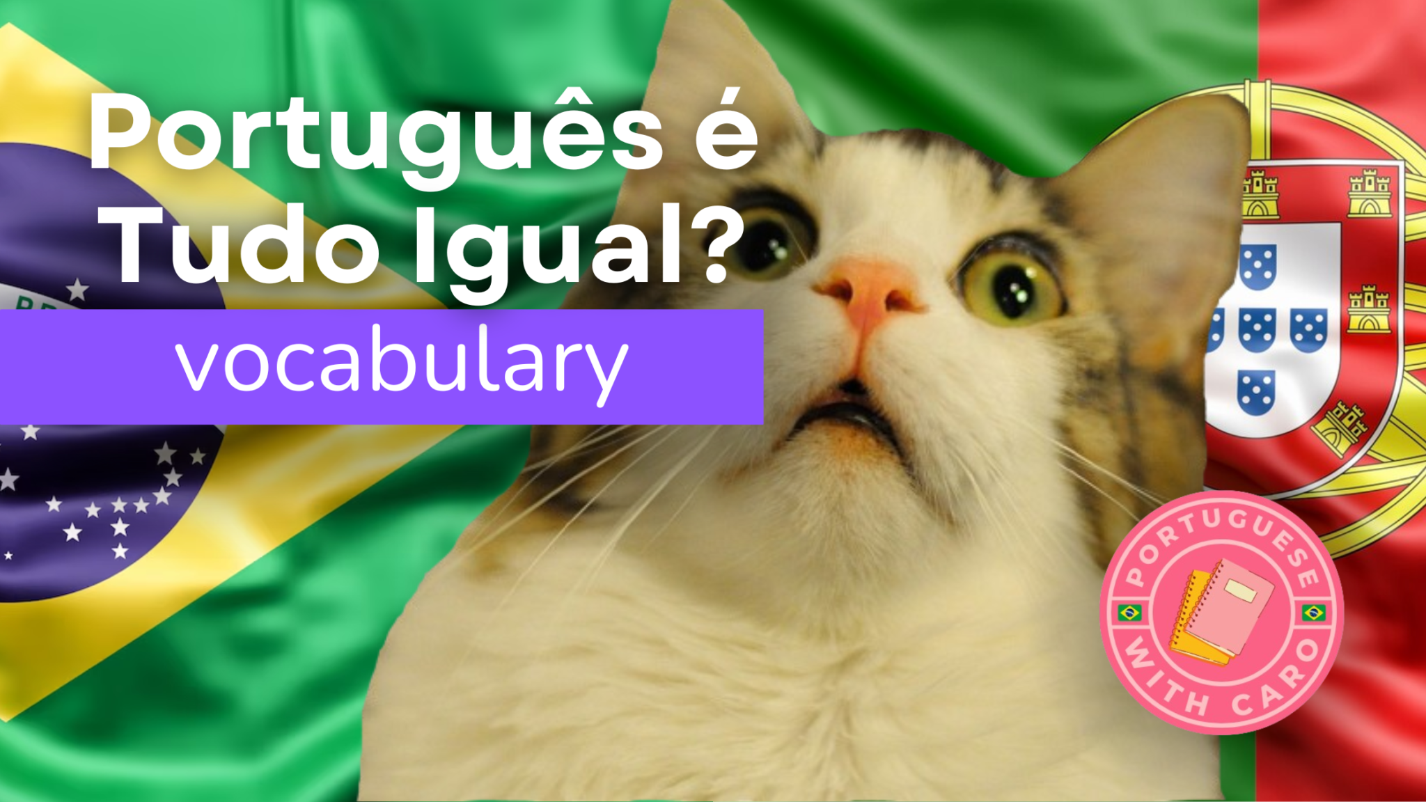 Different Words Between Brazil and Portugal - Portuguese With Caro